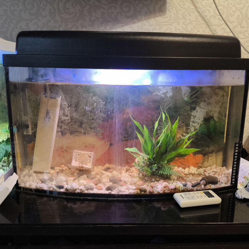 Продам аквариум бу 65л