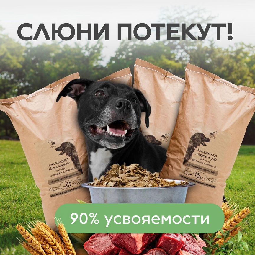 Корм для собак 15 кг от производителя