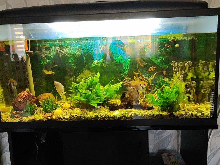 Украшение для аквариума