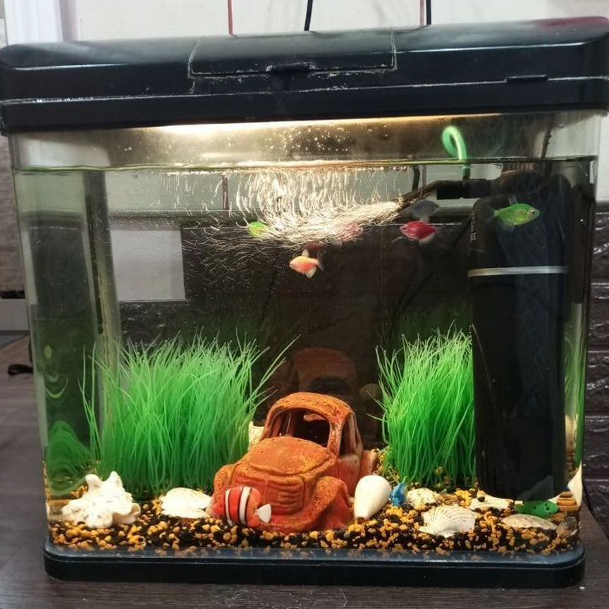 Аквариум с рыбками