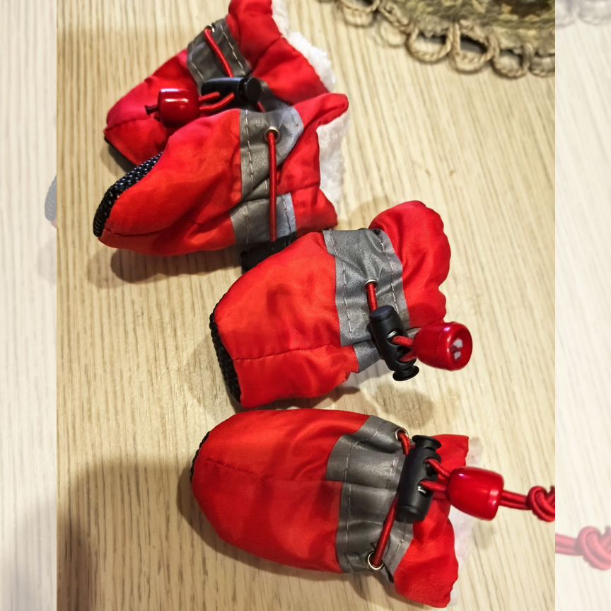 Обувь для маленьких собак