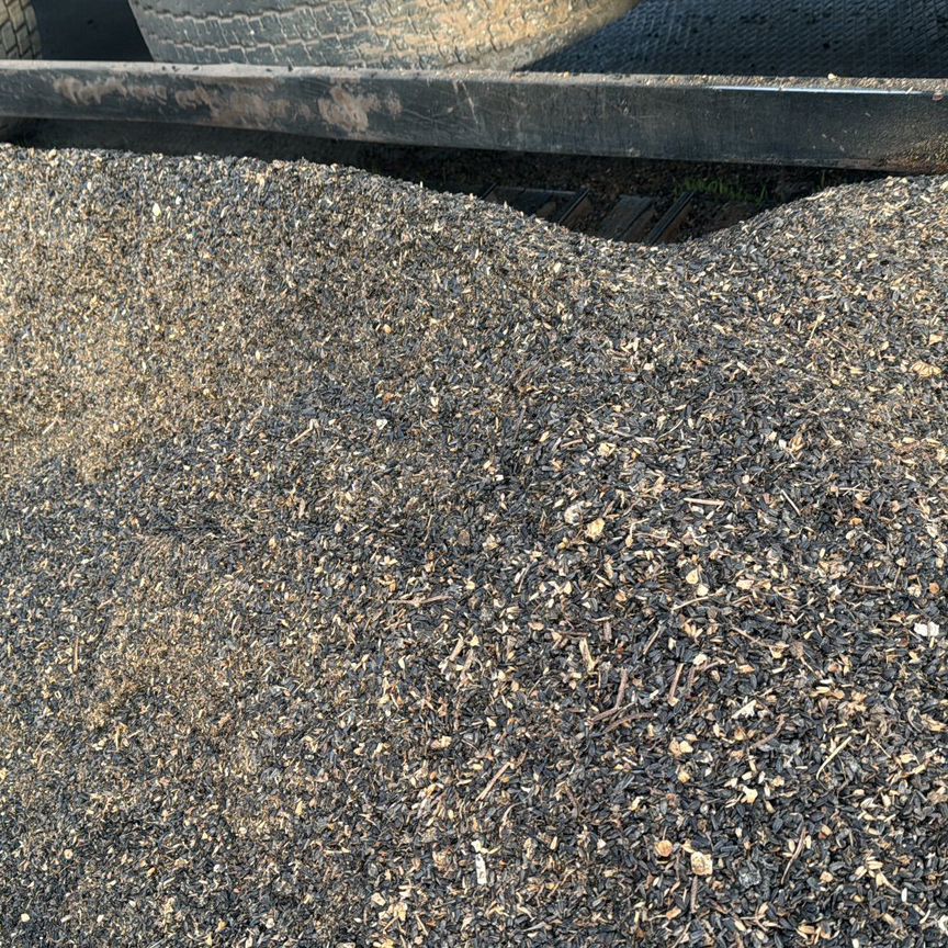 Лузга подсолнечника