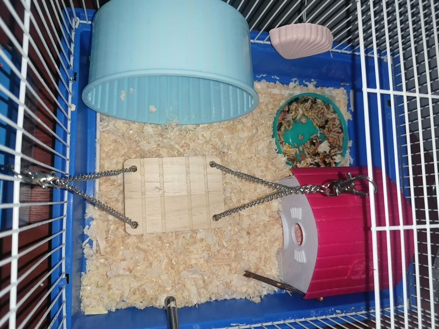 Клетка для грызунов