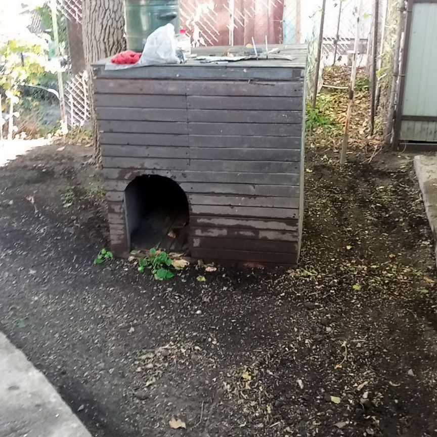 Собачья будка