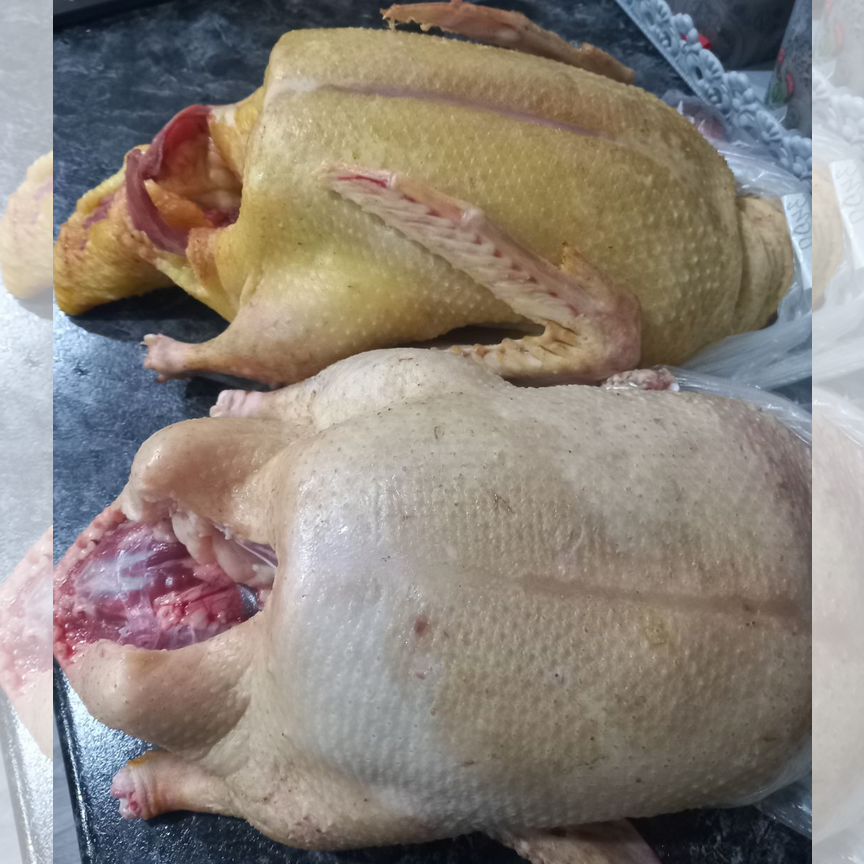 Продам мясо индоутки, гуся, утки
