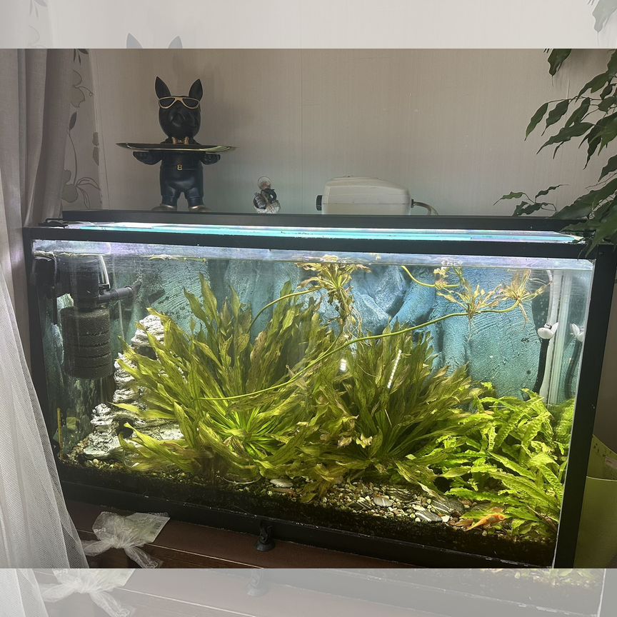 Советский аквариум 120 литров