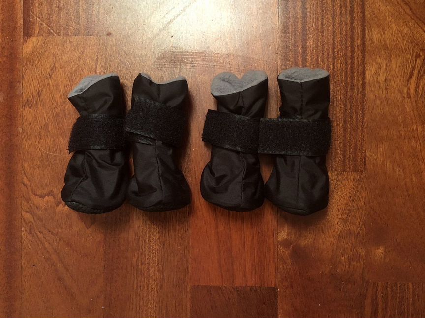 Обувь для маленьких собак