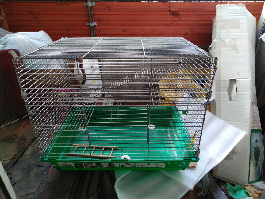 Клетка для грызунов бу