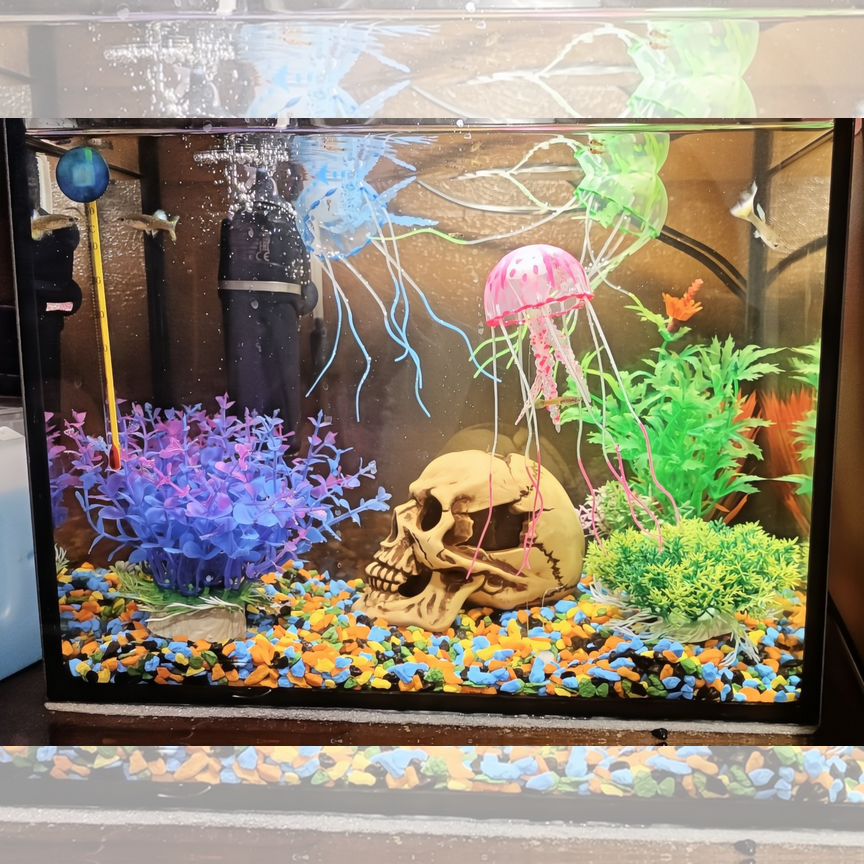 Аквариумные рыбки гуппи