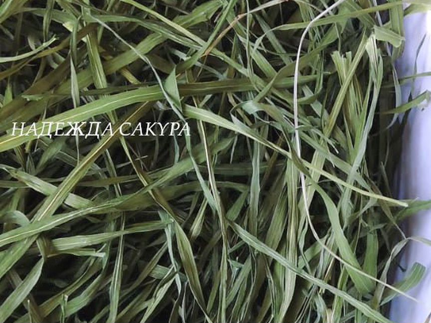 Качественное сено для грызунов (ручная сборка)