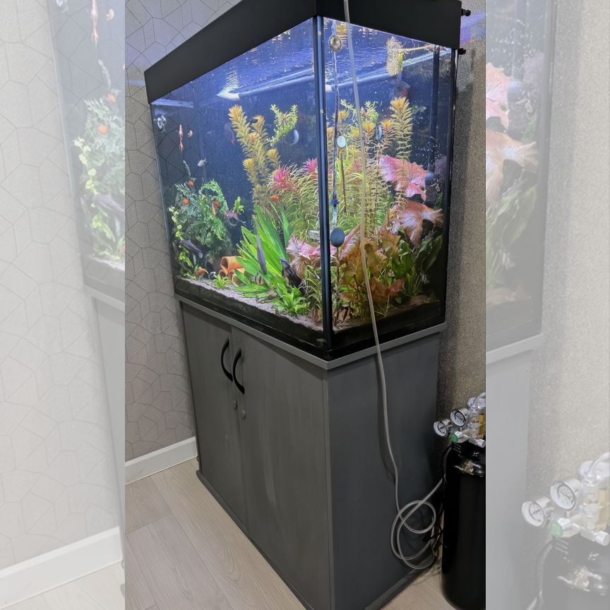 Аквариум 260 литров