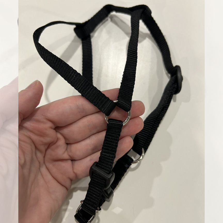 Шлейка и игрушки для кошки