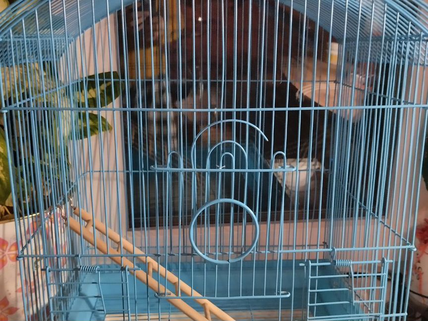 Клетка для попугая бу