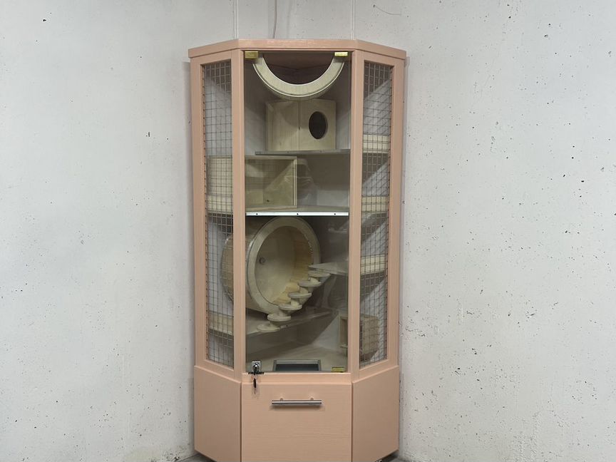 Клетка-витрина для шиншилл спб