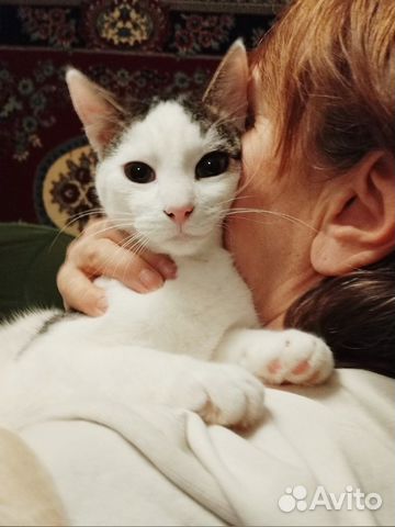 Белоснежная с прекрасным характером