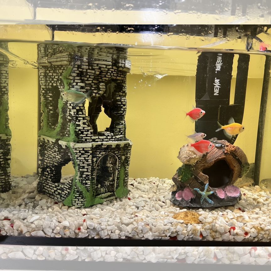 Аквариум с рыбками 30л