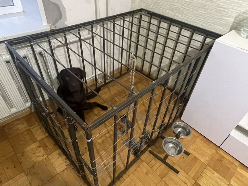 Вольер для собак
