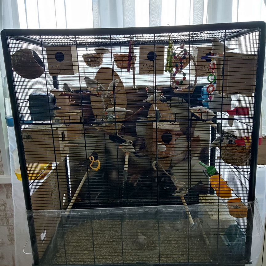 Большая клетка для птиц