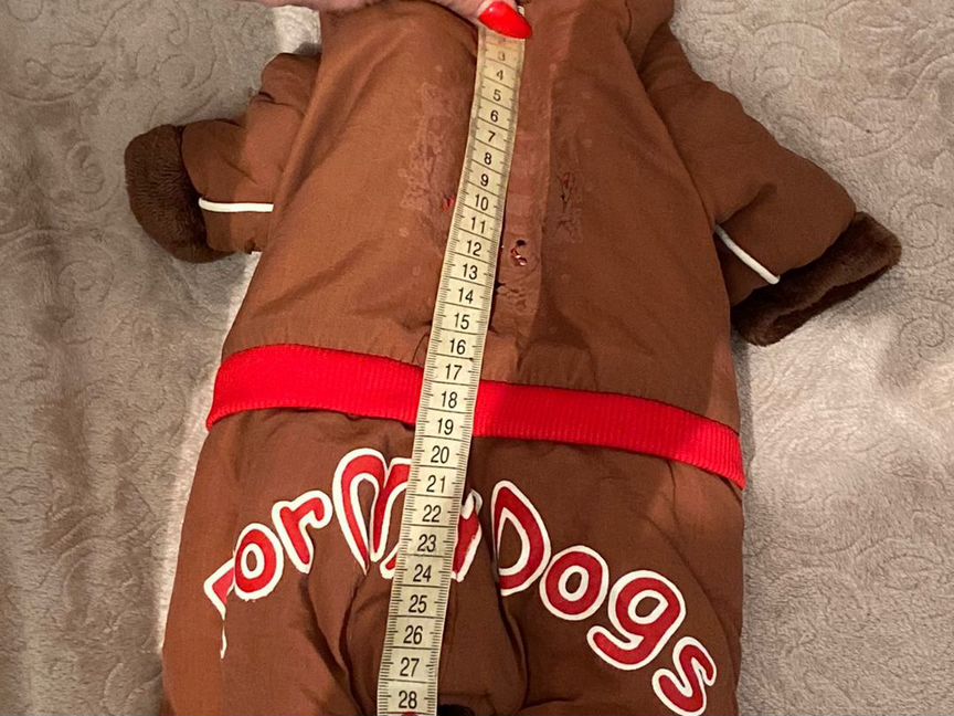 Одежда для маленьких собак зимняя