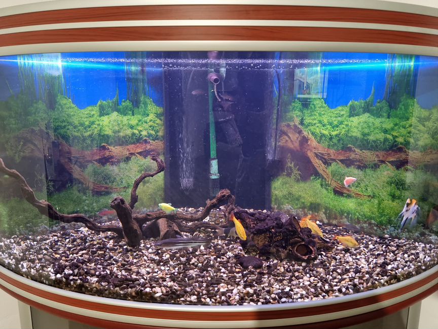 Аквариум с тумбой 300 литров