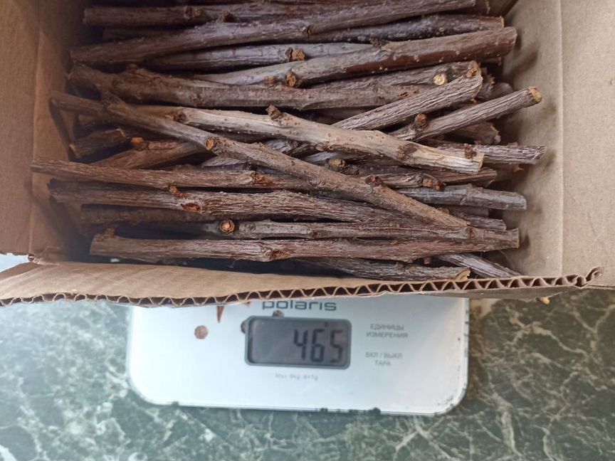 Веточки для грызунов и птиц