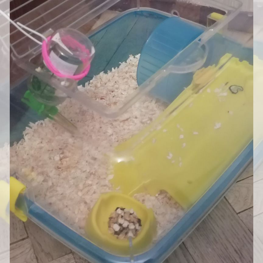 Клетка для грызунов