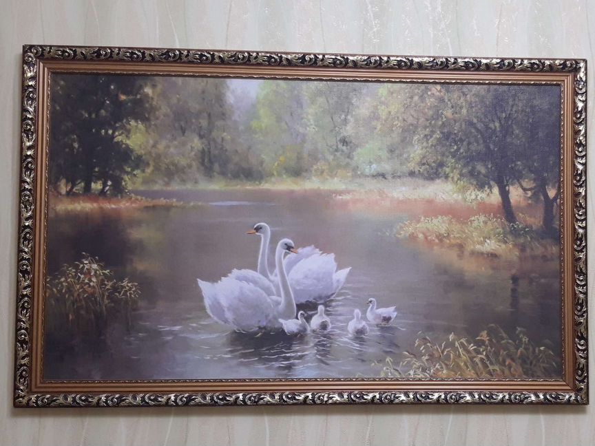 Семья лебедей