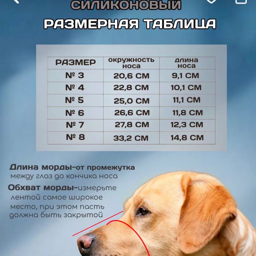 Намордник для собак