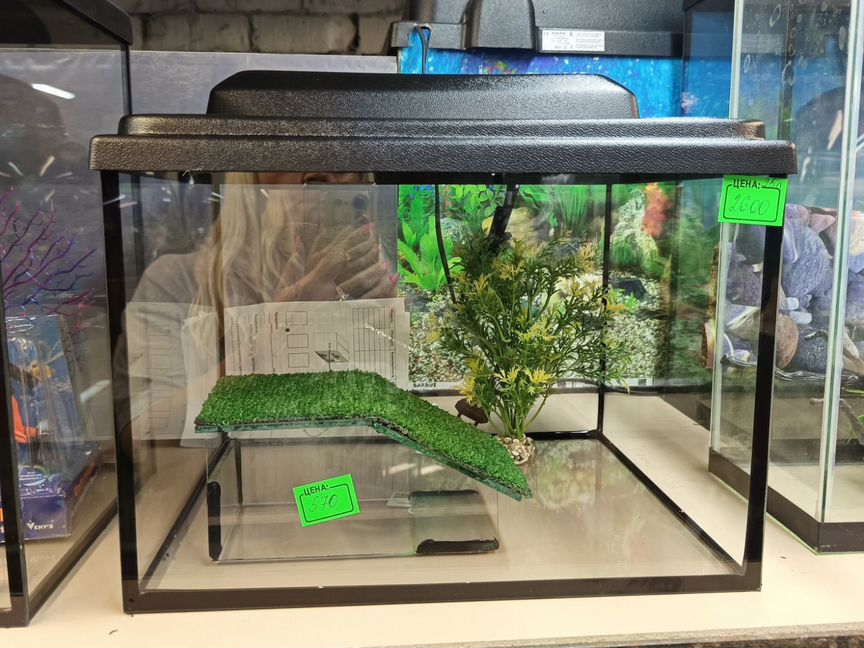 Террариум для рептилий