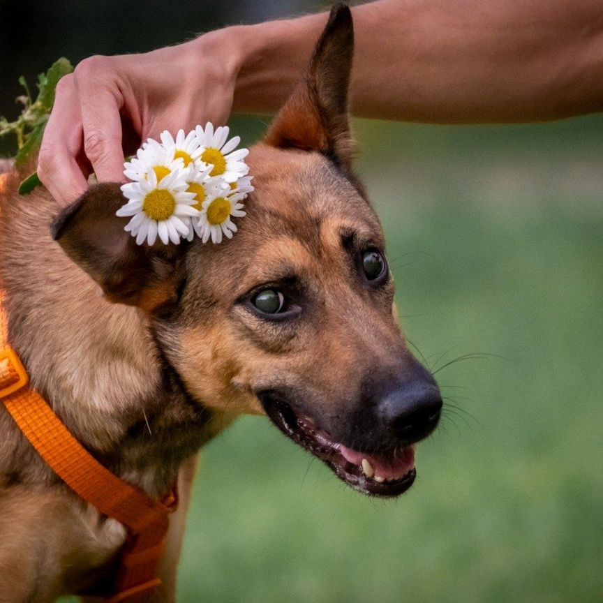 Подарите малышке свой взгляд на мир