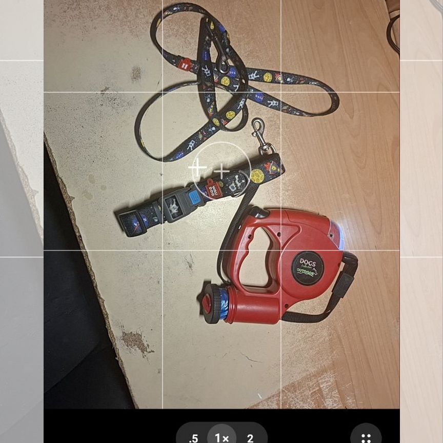 Амуниция для небольших собак