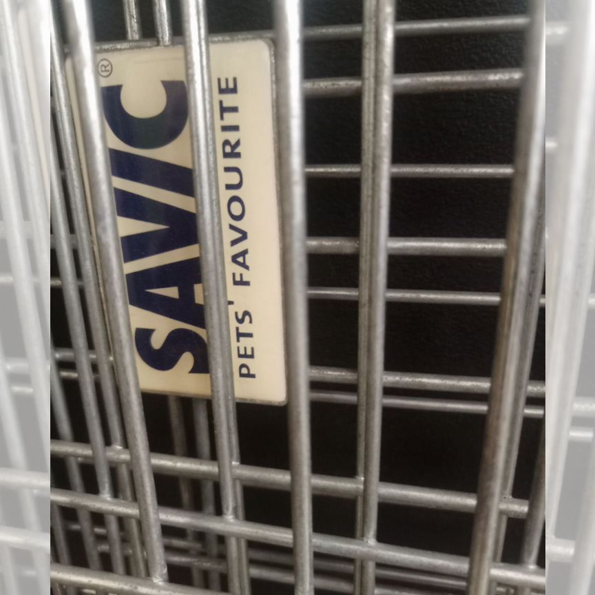 Клетка 1187688