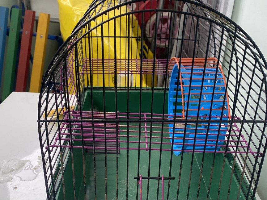 Клетка для грызунов