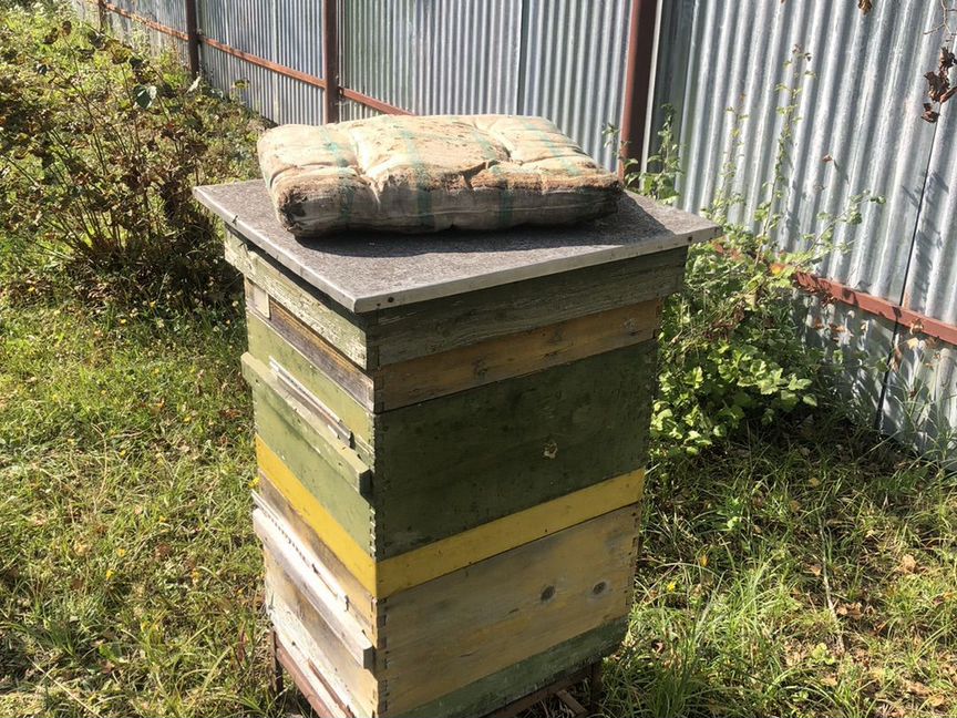 Улей для пчел