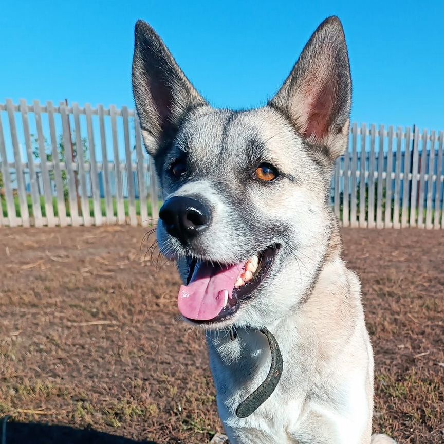 Я Беллочка, хочу домой