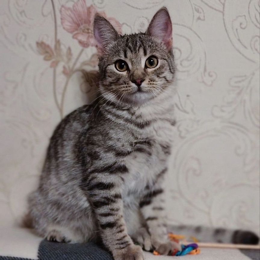 Марик 5 месяцев