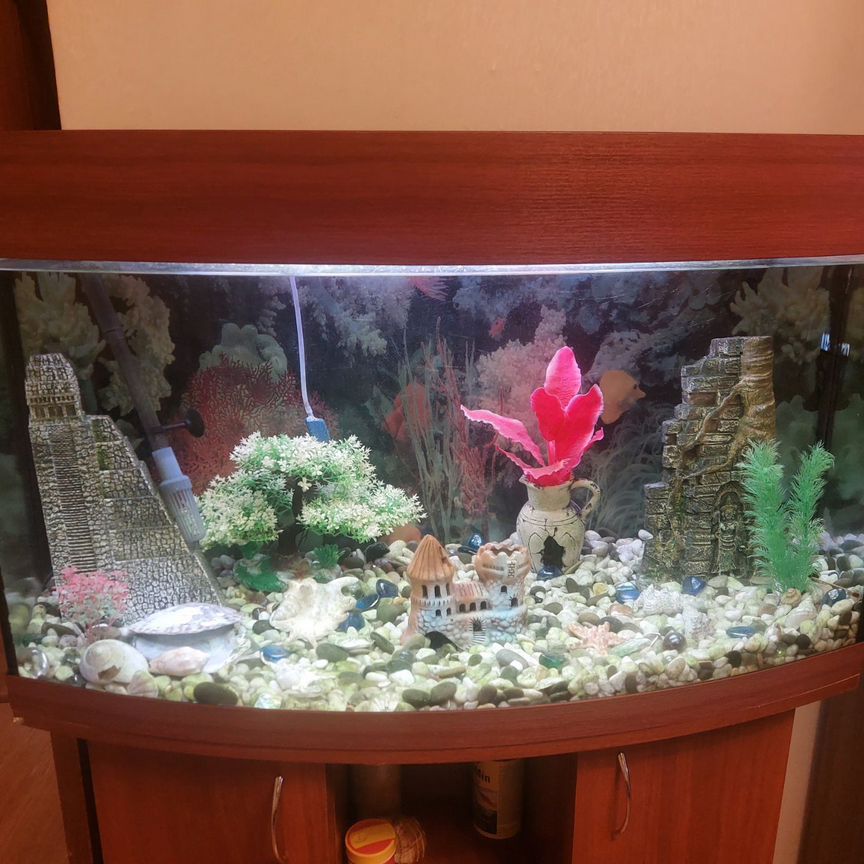 Аквариум с тумбой бу