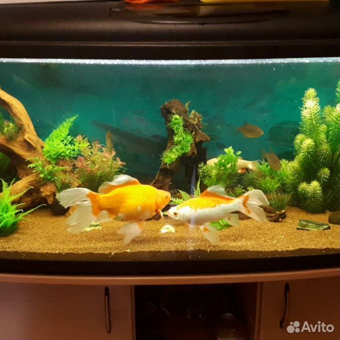 Продам аквариум акваэль 350л. полный комплект