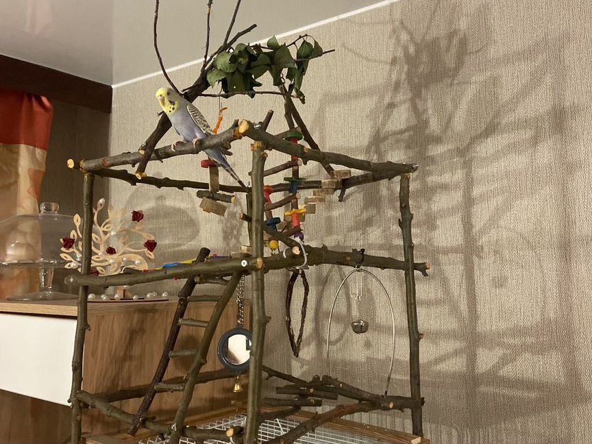 Игровой стенд для попугая