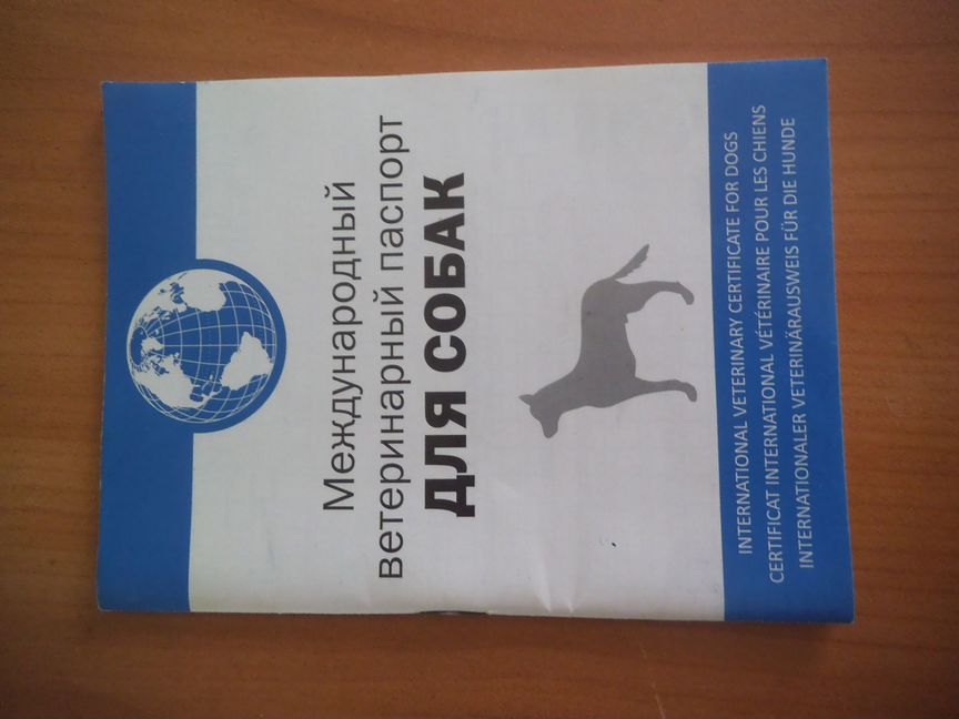 Passport для собак