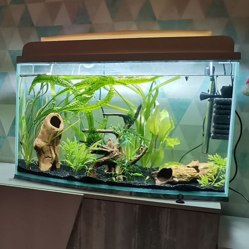 Аквариум 100 литров   грунт   фильтр