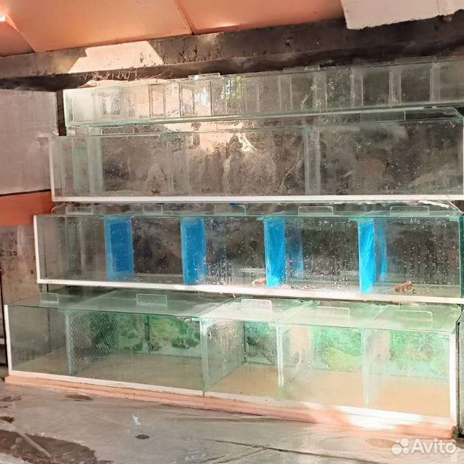 Аквариум витрина для продажи или передержки рыб