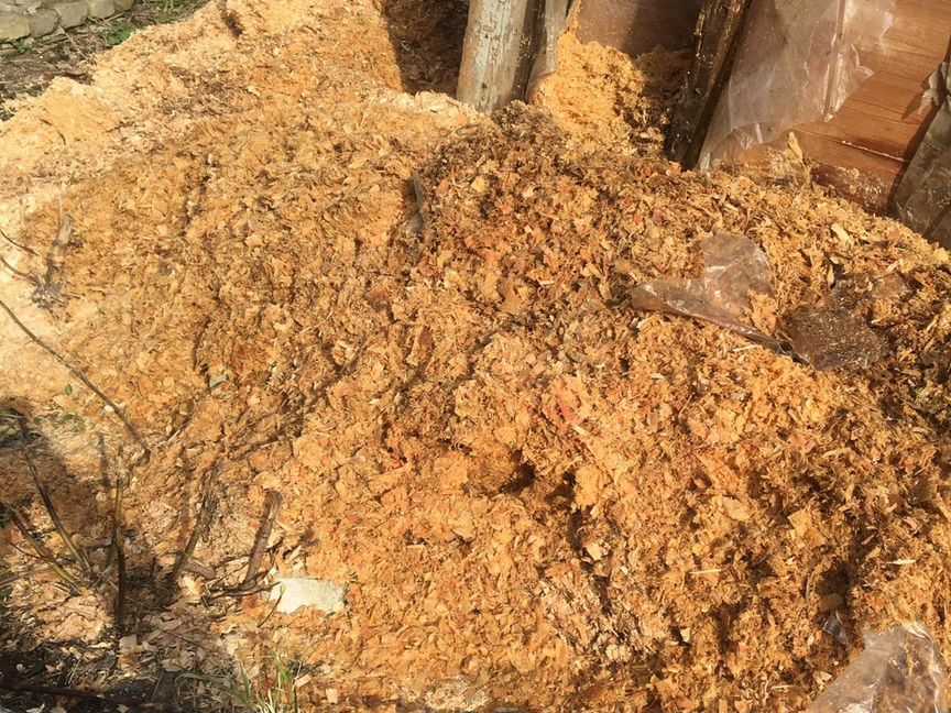 Опилки бесплатно