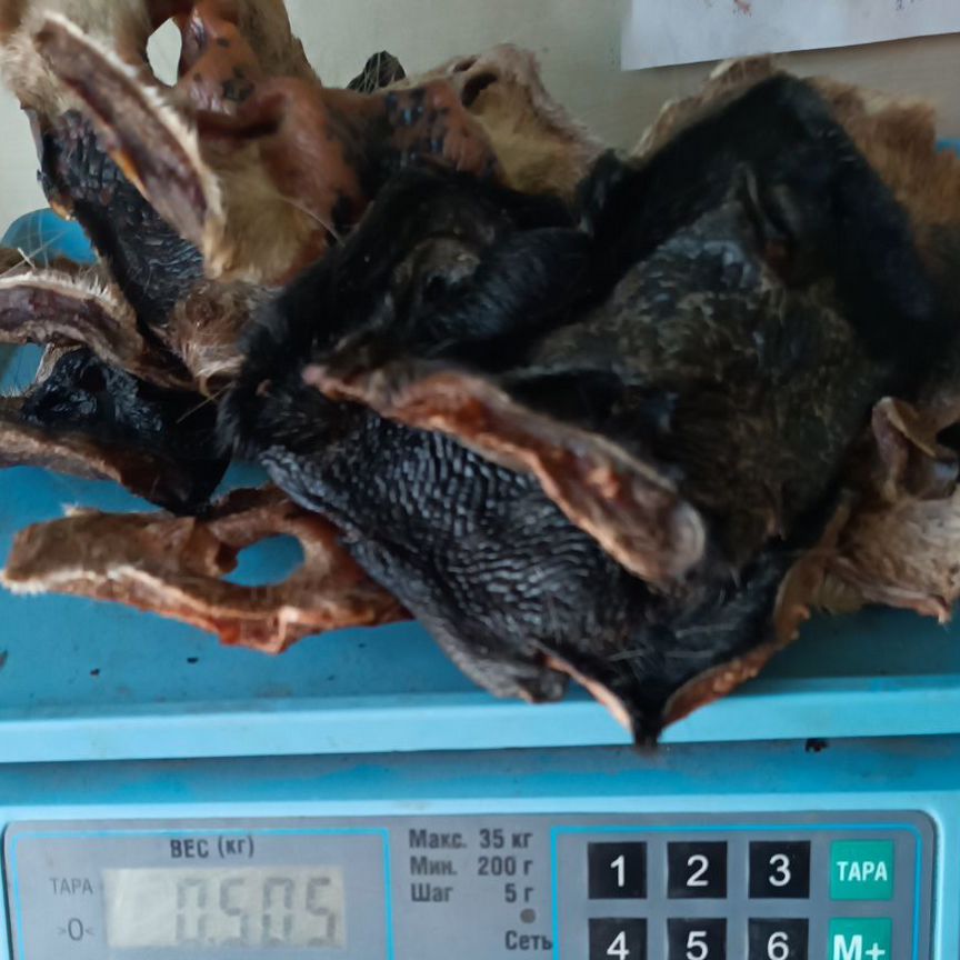 Сухой корм (носы говяжьи)