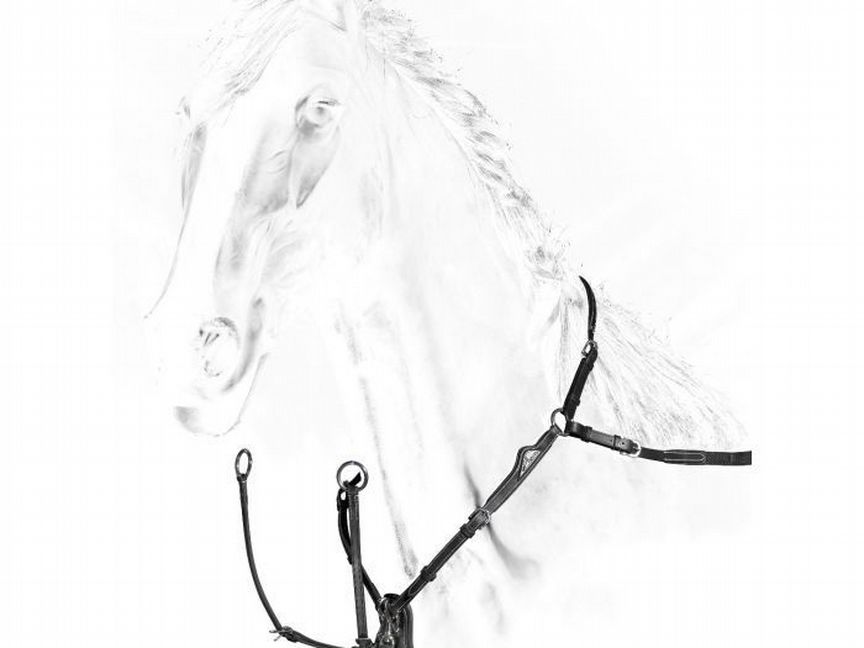 Подперстье equiline для лошади