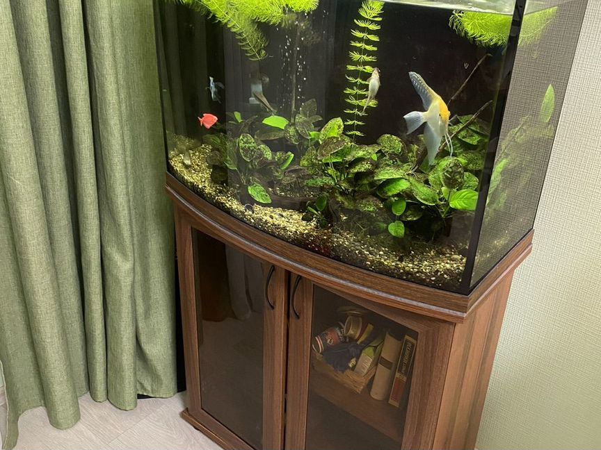 Аквариум с тумбой AquaPlus