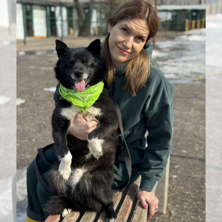 Щенок в добрые руки