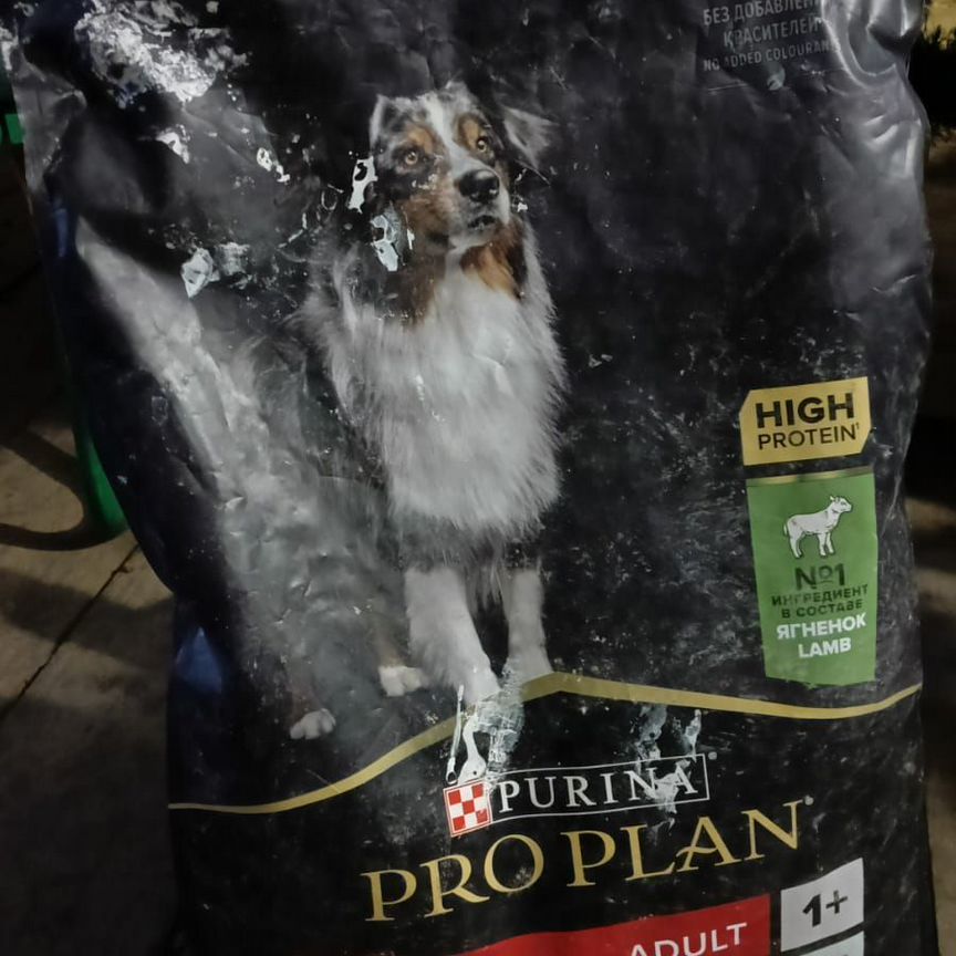 Корм для собак