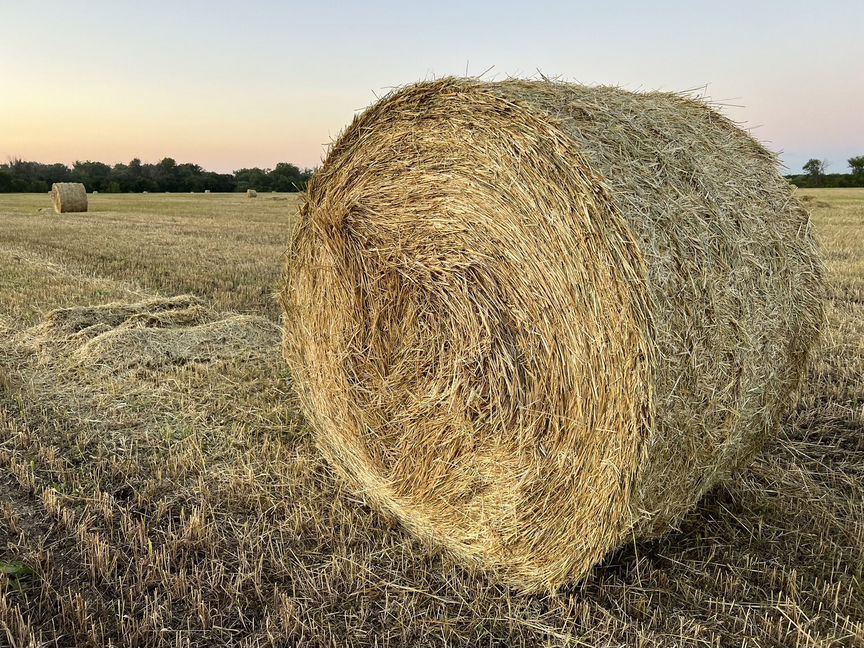 Солома овсяная, ячменная, пшеничная