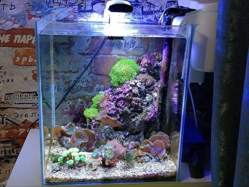 Морской аквариум